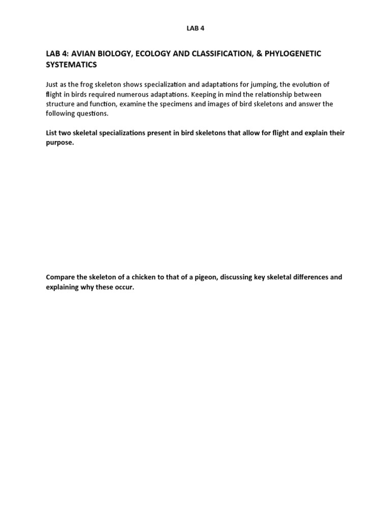 BIOL330 Lab 4 | PDF | Phylogenetic Tree | Birds
