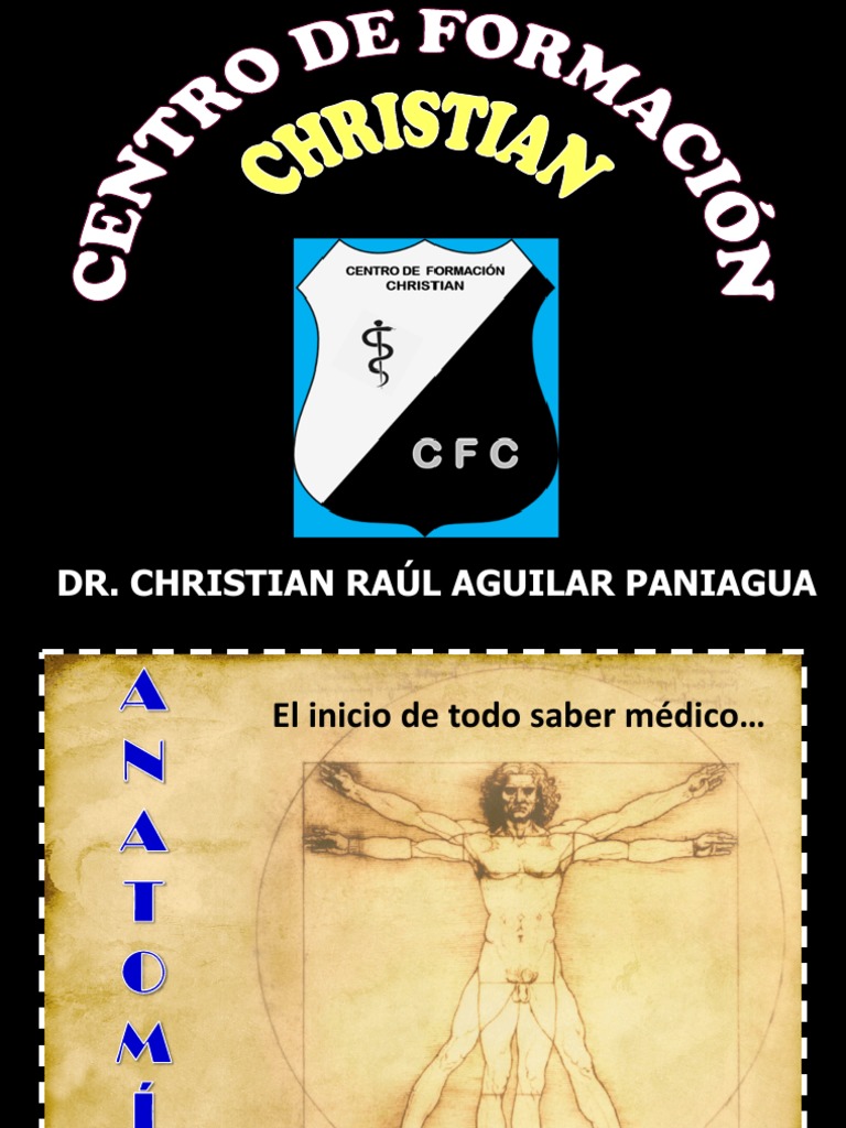 Neuro 2 | PDF | Cerebro | Neurociencia