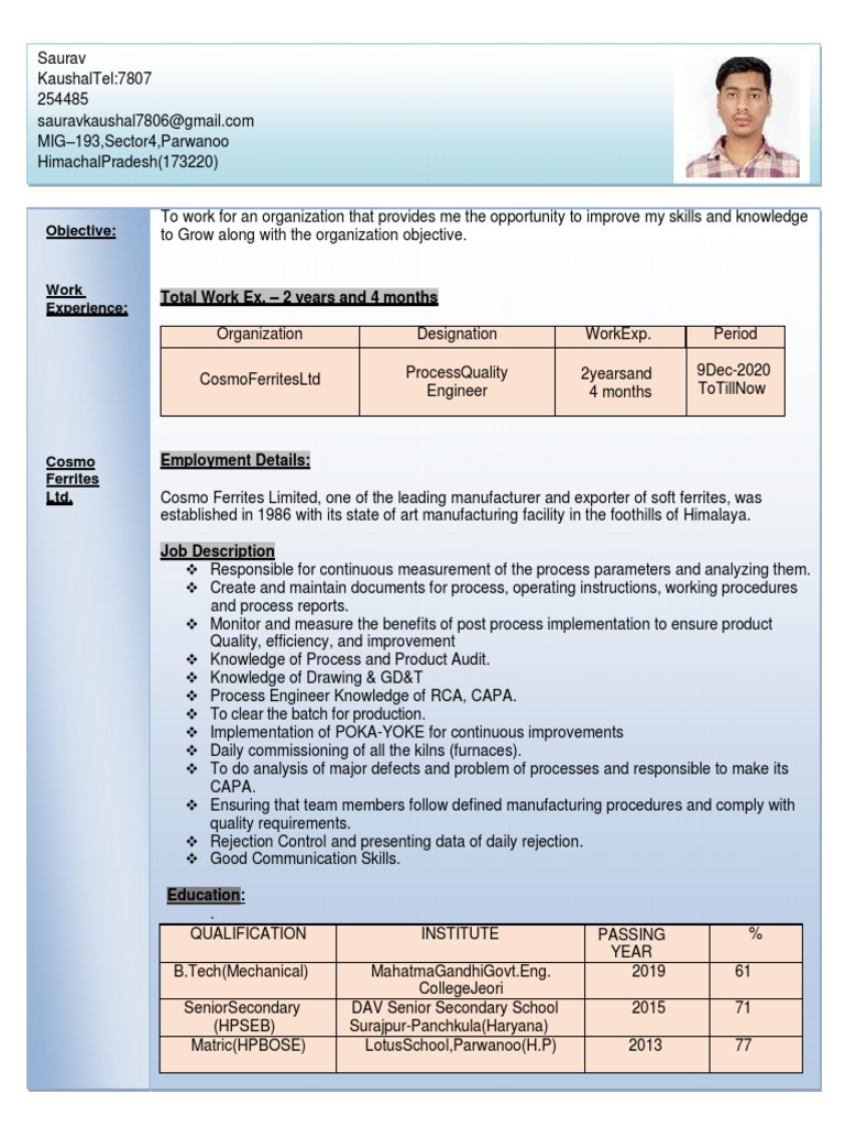 Saurav | PDF | Engineer | Business