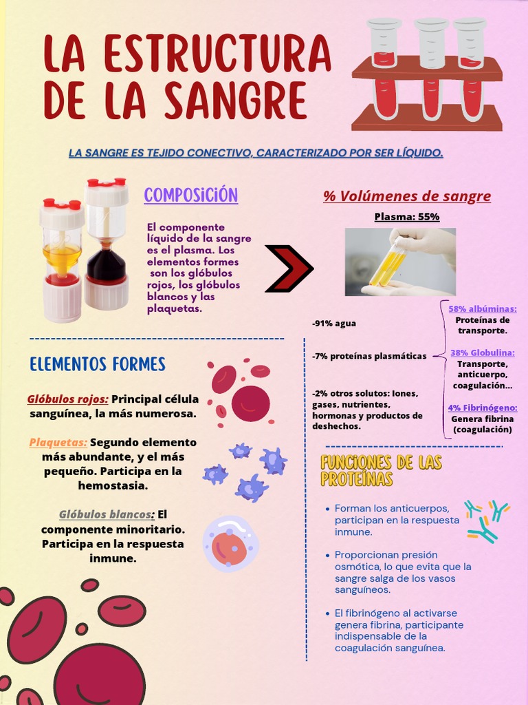 Repaso Sangre | PDF | Sangre | Leucocito Repaso Sangre | PDF | Sangre | Leucocito