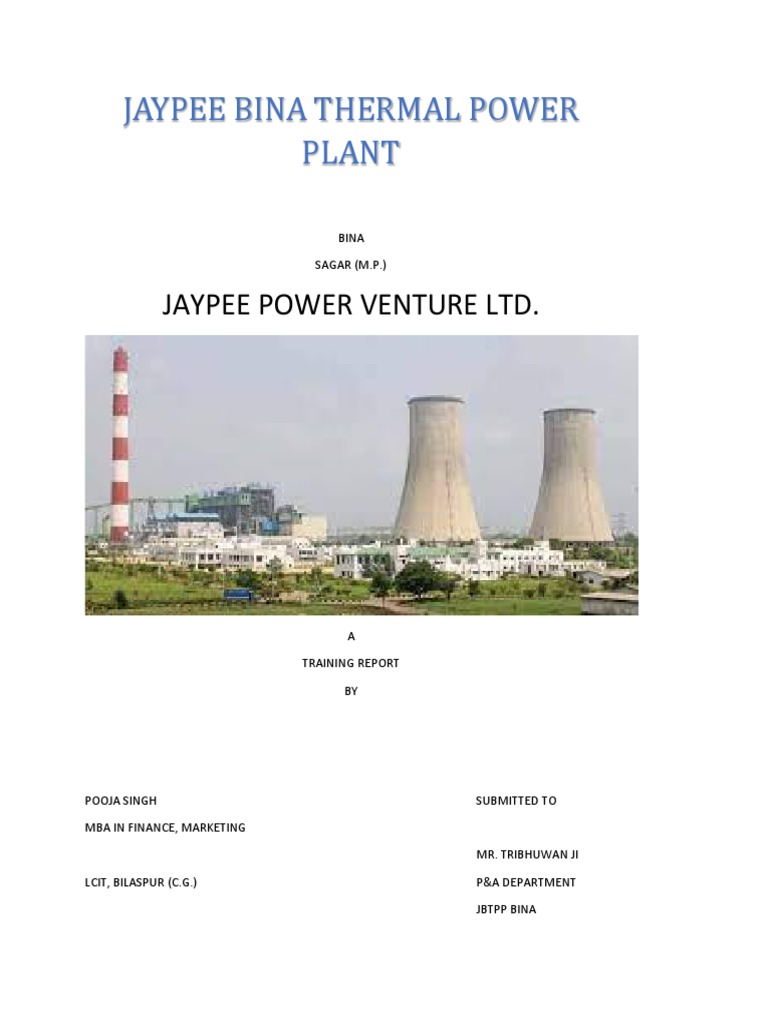 JAYPEE BINA THERMAL POWER PLANT | PDF | Equity (Finance) | Income Statement