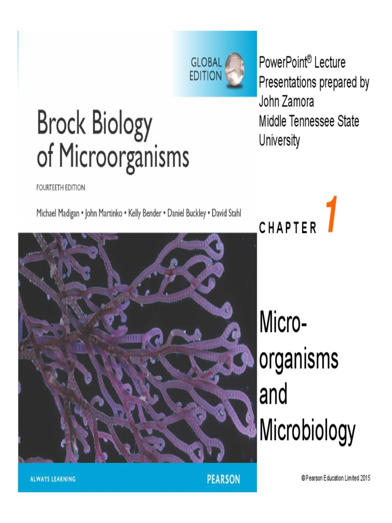 Chapter 1 Pdf Microorganism Microbiology