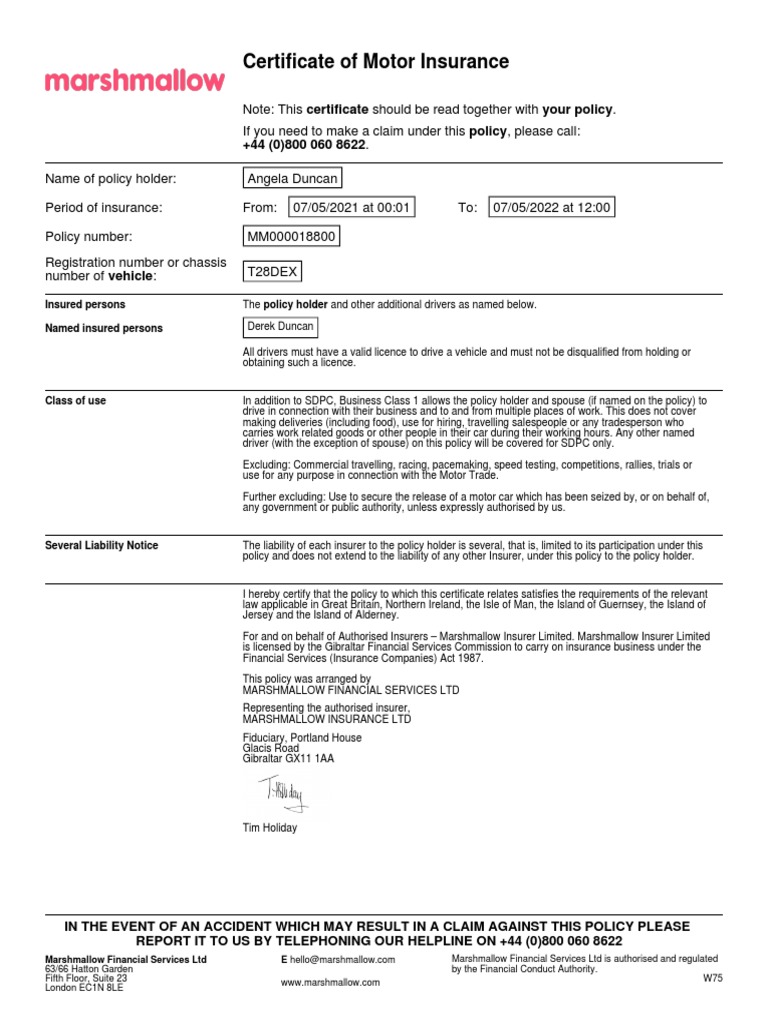 Certificate of Motor Insurance Details | PDF | Vehicle Insurance ...