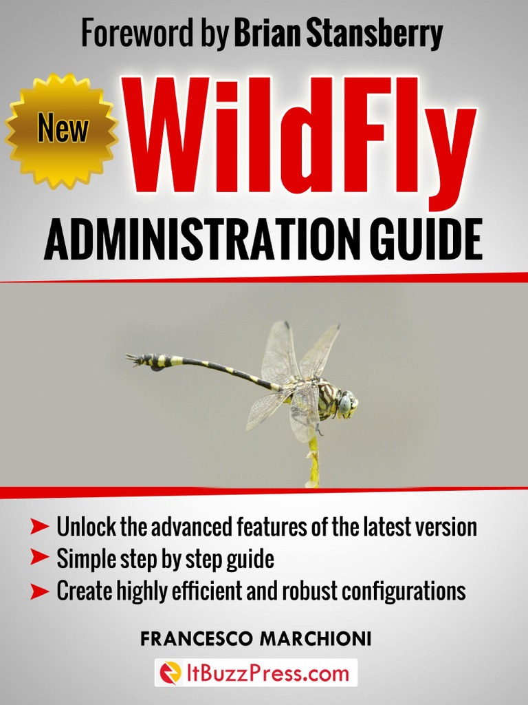 ItBuzzPress WildFlyAdministrationGuide | Download Free PDF | Computer Data | System Software