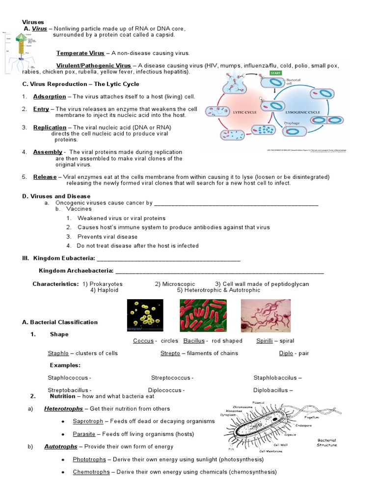 Reviewer For G7 Biology2 | PDF | Virus | Bacteria