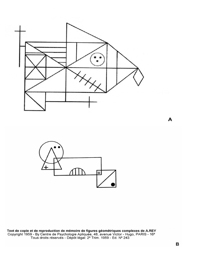 Pranchas Figura Complexa de Rey | PDF