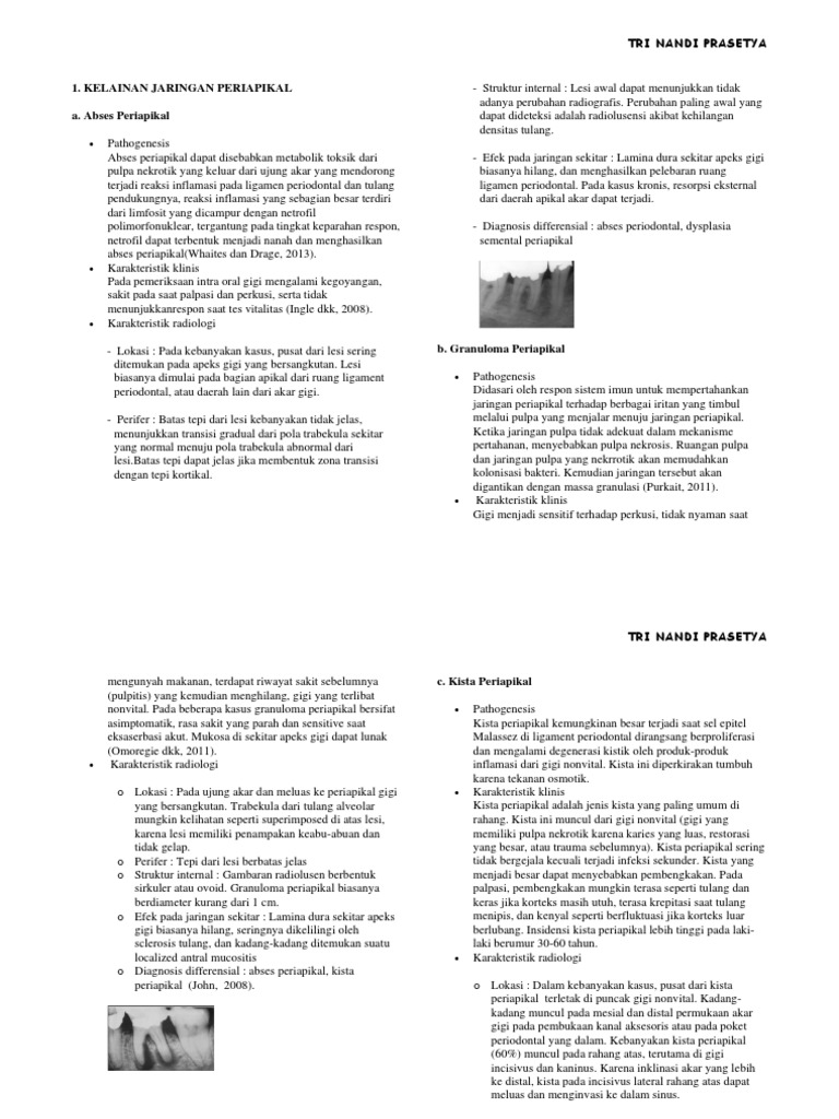 Radiografi Periapikal Dan OPG | PDF