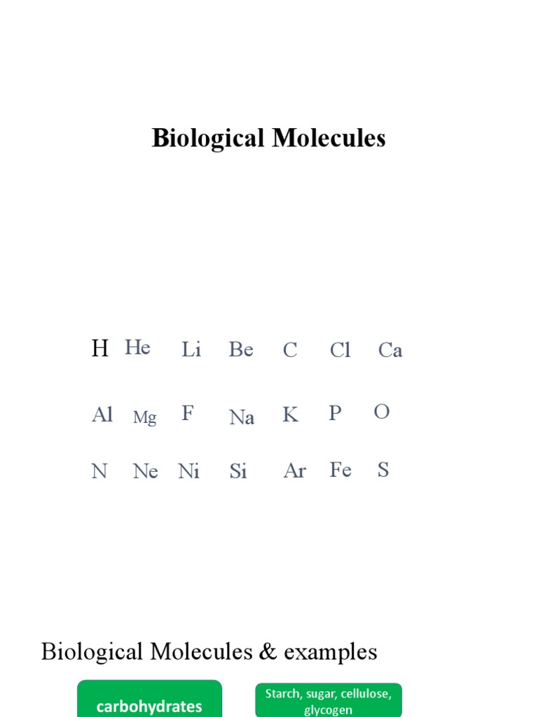 Biological Molecules - Year 9 | PDF | Dna | Lipid