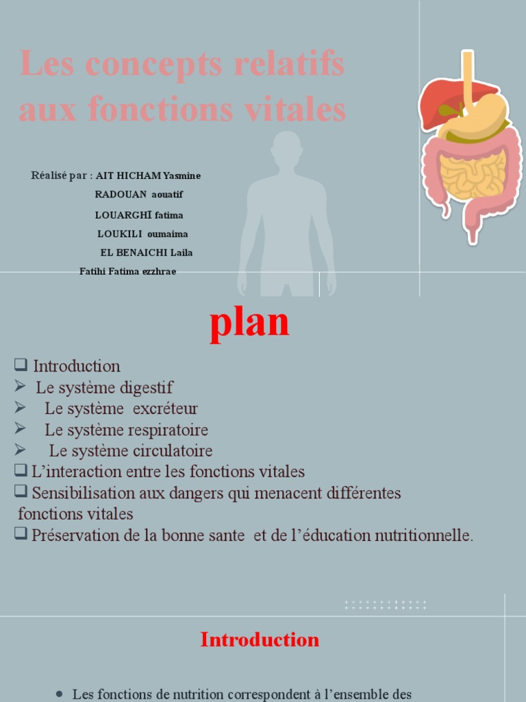 Les concepts relatifs aux fonctions vitales | PDF | Sang | Appareil ...