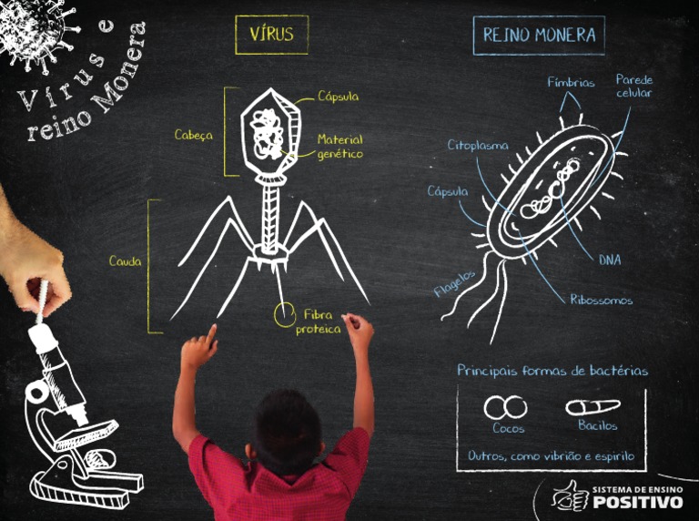 Spe Er 2023 em XX v5 Lousa Bio PF Dig f02 c18 | PDF