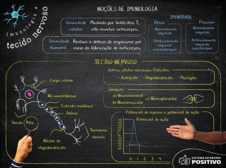 Spe NV 2022 em XX v2 Lousa Bio PF Dig f01 c08 | PDF | Imunidade ...