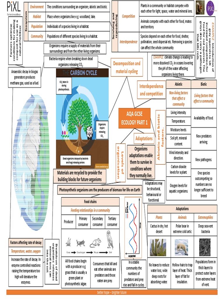 Ecology Mindmaps | PDF | Ecosystem | Agriculture