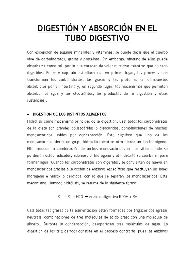 Digestión y Absorción en El Tubo Digestivo | PDF | Digestión | Bilis