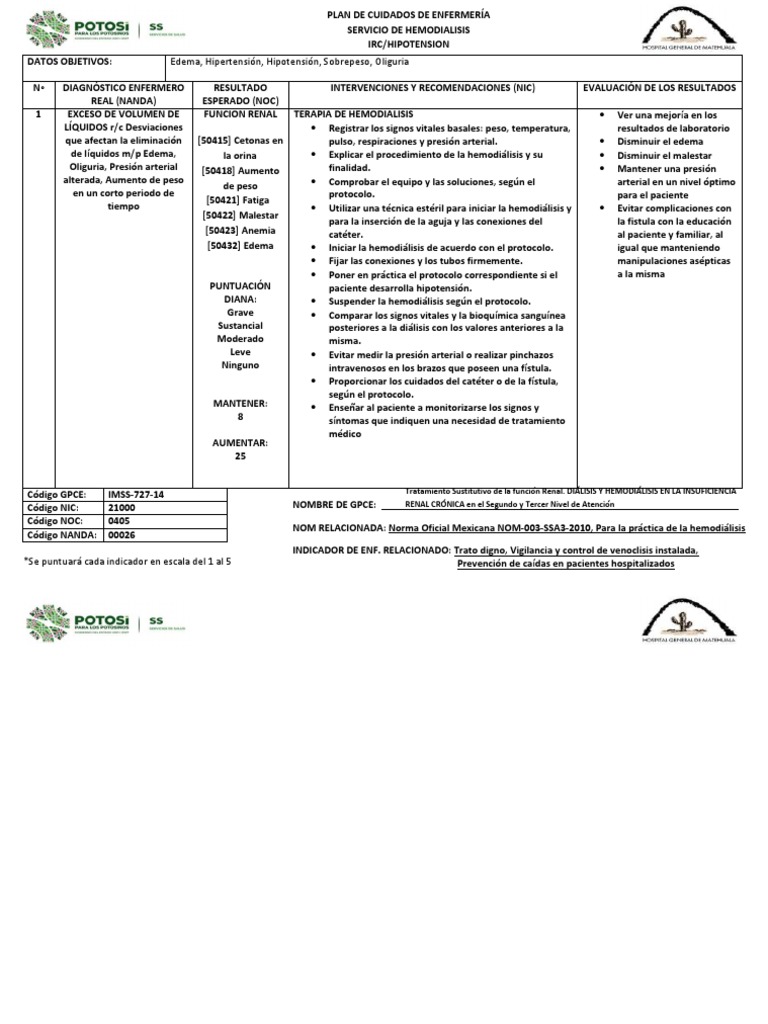 Formato de Plan de Cuidados20. Irc Hipotension | PDF | Hemodiálisis | Presión sanguínea