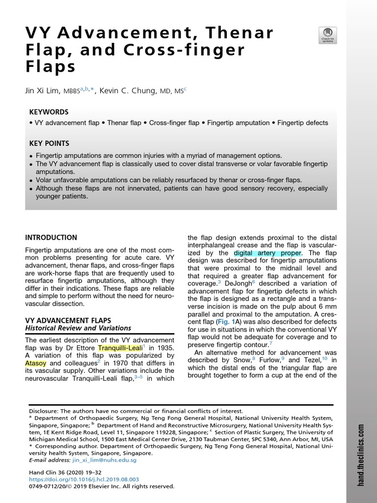 V-Y Flap | PDF | Finger | Hand
