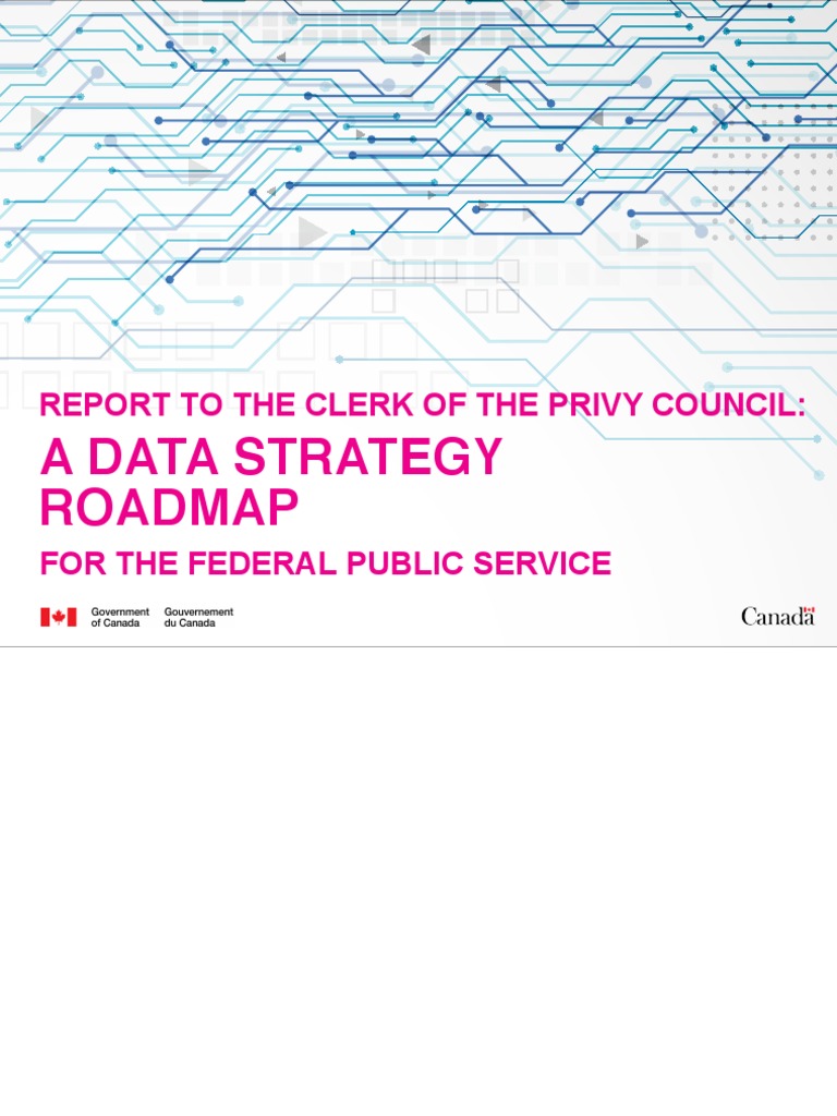 Data Strategy Roadmap ENG | PDF | Governance | Privacy