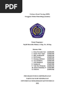 Askep Anemia Pada Kehamilan | PDF