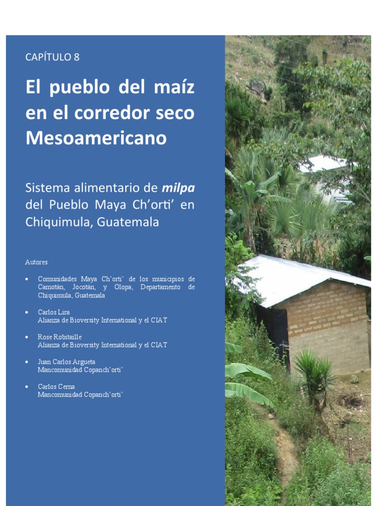 Sistema Alimentario de Los Maya Chorti | PDF | Agricultura