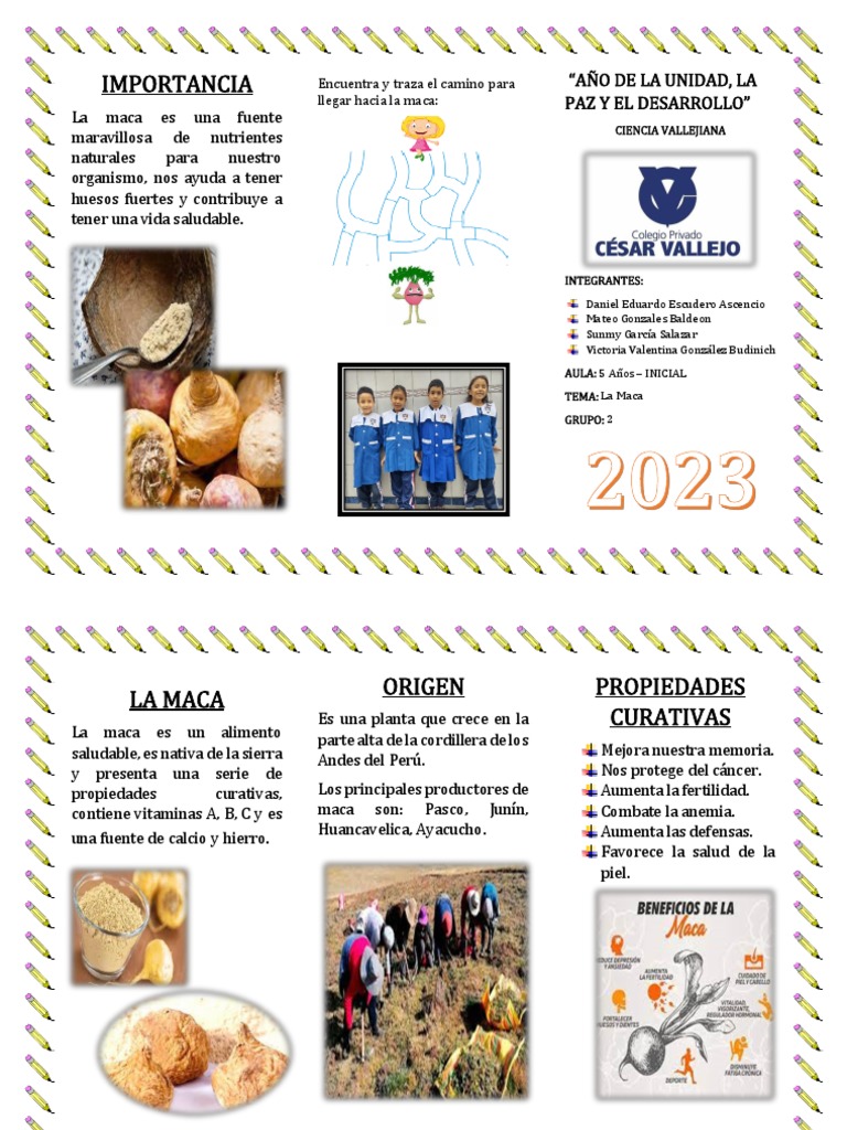 Triptico - La Maca | PDF