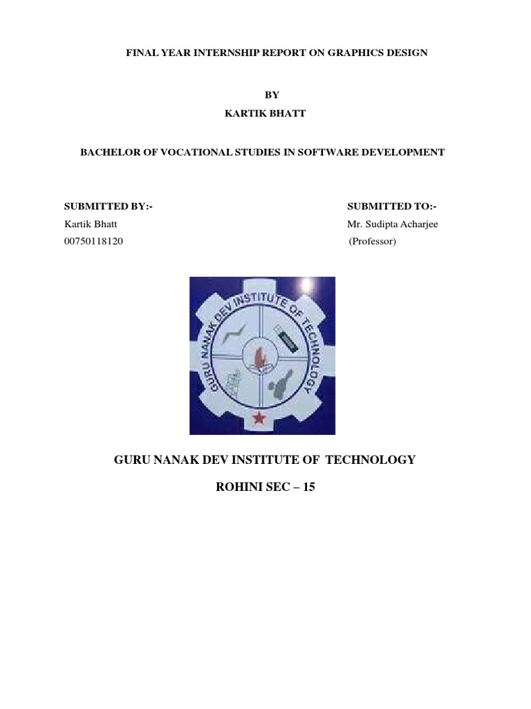 Kartik Internship Report | PDF | Adobe Photoshop | Graphics