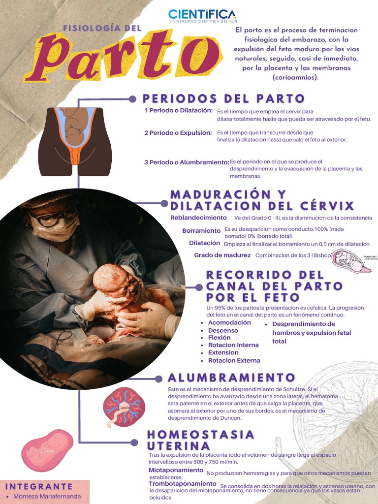 FISIOLOGIA DEl PARTO | PDF | Parto | Placenta