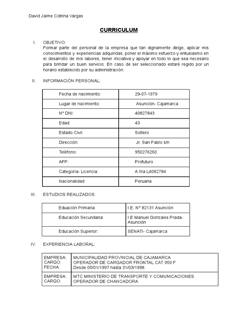 Curriculum David 2023 | PDF