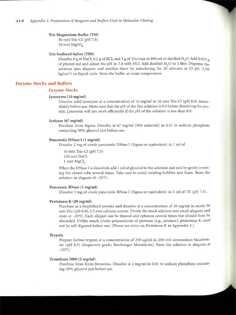 Reactivos Molec Cloning | PDF