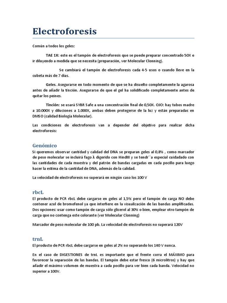 Guión Electroforesis | PDF
