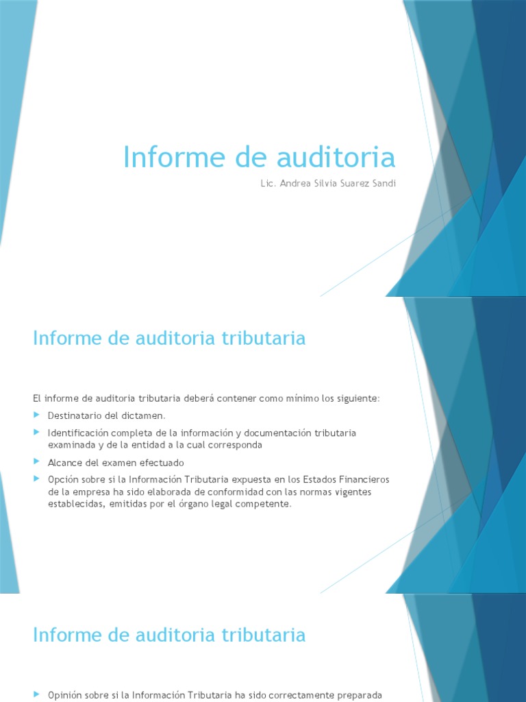 Informe de Auditoria | PDF | Auditoría | Contralor