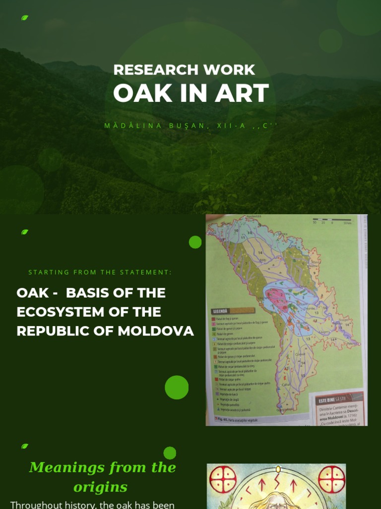 Oak in Art | PDF | Oak
