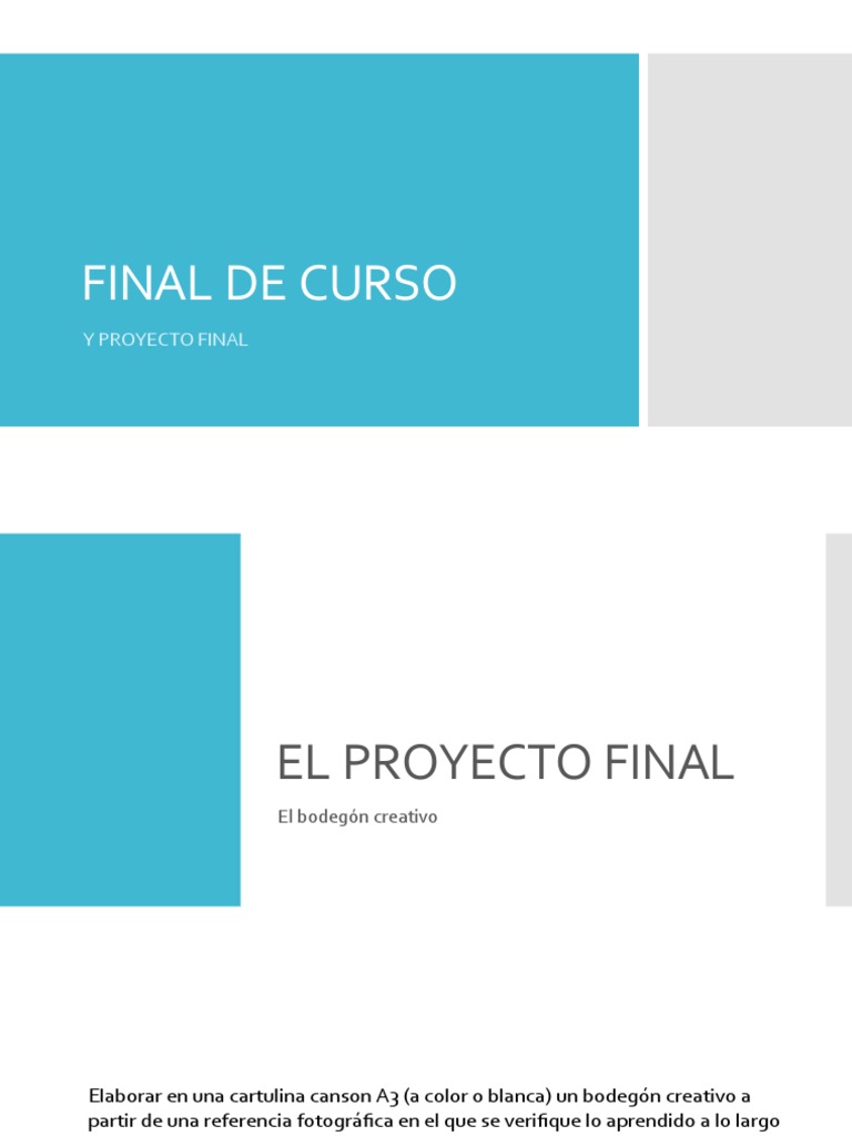 Proyecto Final Dibujo | PDF