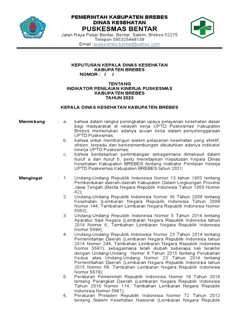 Indikator Kinerja Puskesmas 2023 | PDF