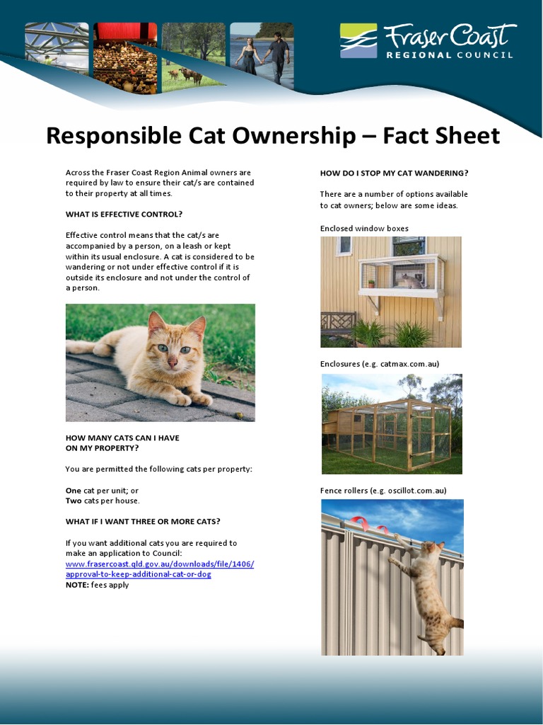 Responsible Cat Ownership Fact Sheet 2020 | Download Free PDF ...
