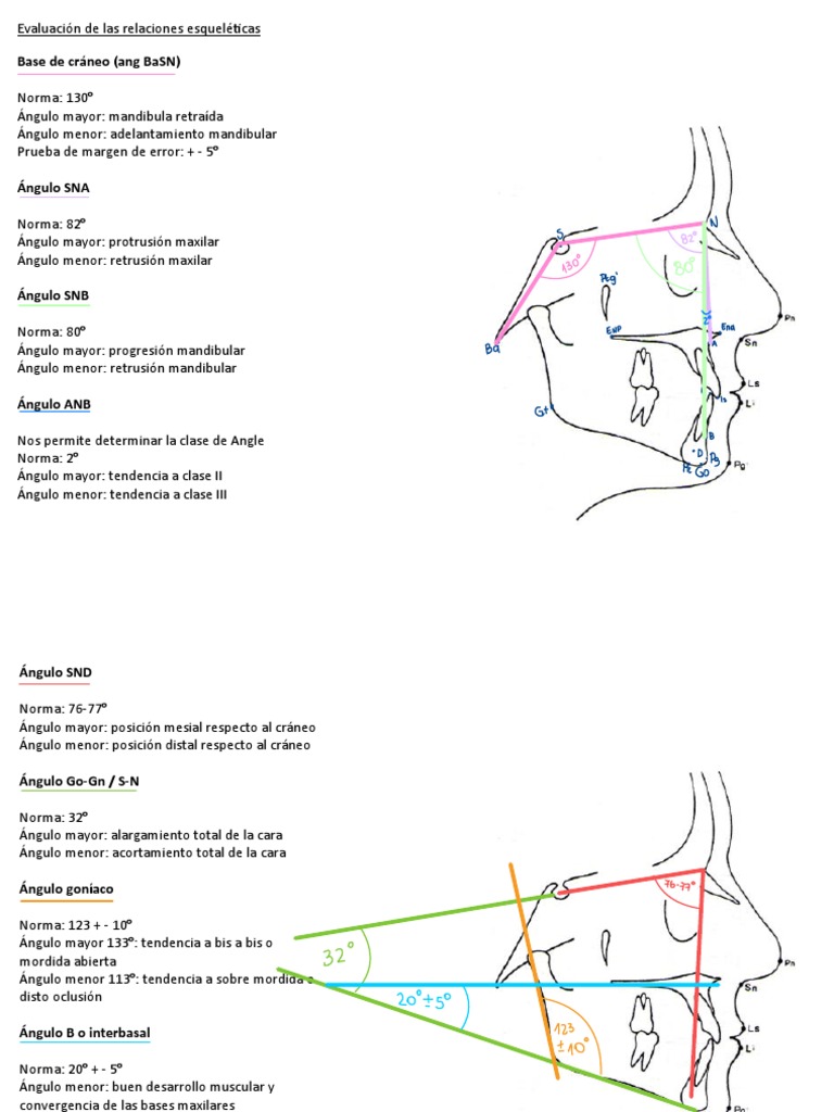 CEFALOMETRÍA | PDF | Anatomía humana