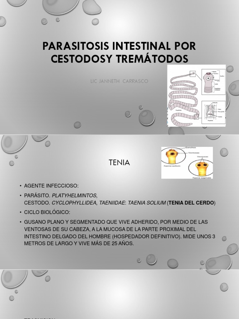 Parasitosis Intestinal Por Cestodos y Trematodos | PDF | Especialidades ...