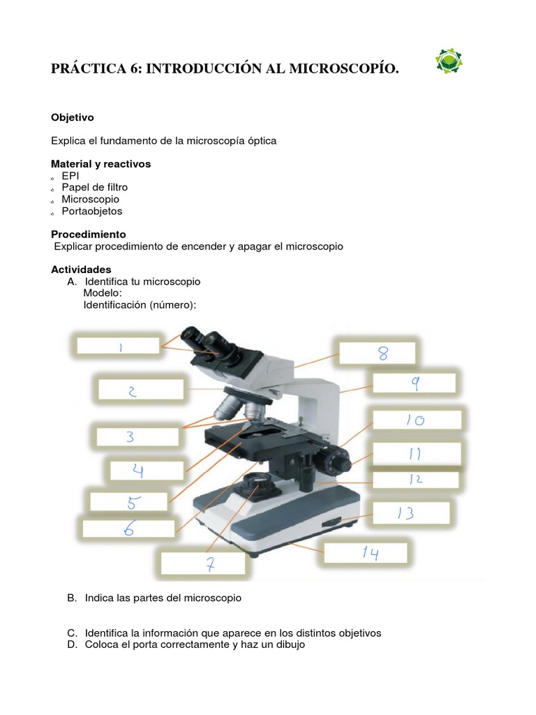 Introducción al Microscopio y Prácticas | PDF