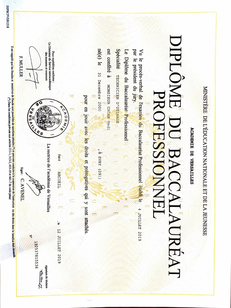 Diplôme Baccalauréat Professionnel 2019 | PDF | Enseignement ...