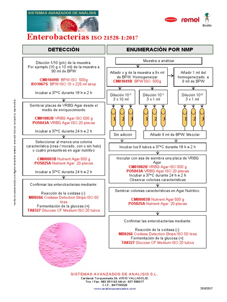 Enterobacterias 21528 - 1 | PDF