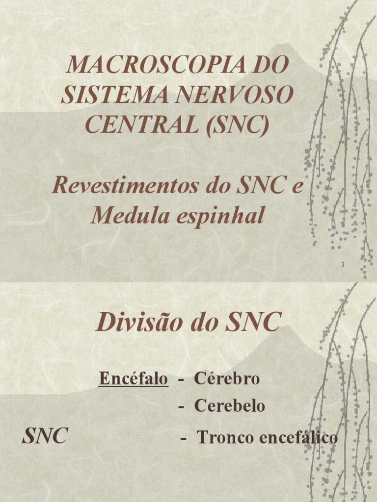 Neuro Cap. 3 (Revestimentos e Medula) | PDF | Medula espinhal | Líquido ...