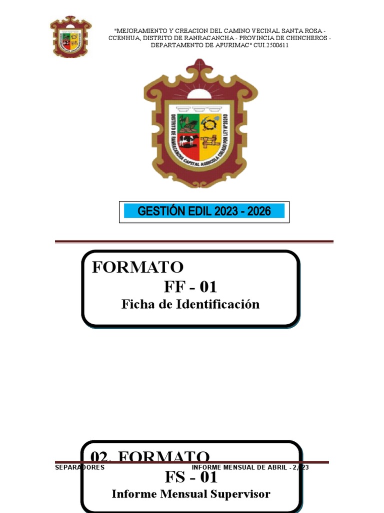 Separadores Informe Mensual - Final | PDF