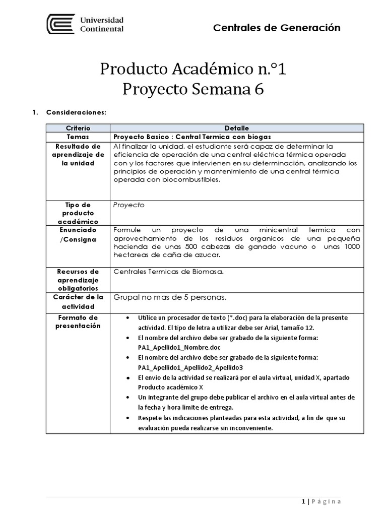 Formato - Tarea - Proyecto S6 | PDF
