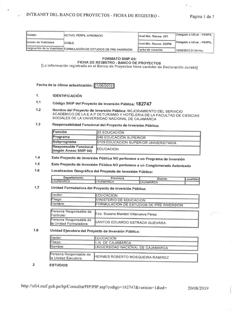 Formato SNIP N.° 3 | PDF