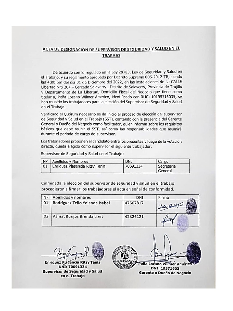 Acta de Elección de Supervisor de Seguridad | PDF