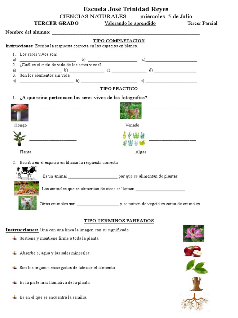 Examen de Ciencias Naturales Tercer Grado | PDF Examen de Ciencias Naturales Tercer Grado | PDF