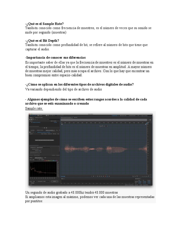 Qué Es El Sample Rate y Bit Depth | PDF