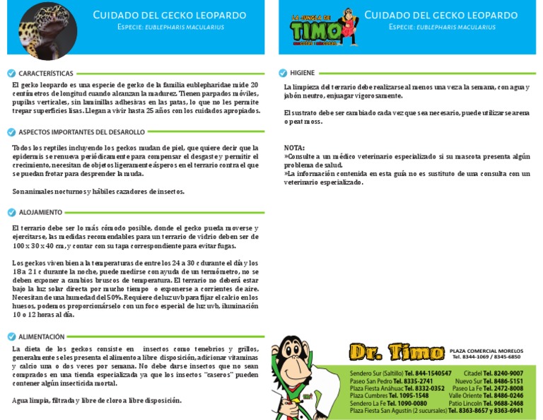Gecko Leopardo | PDF