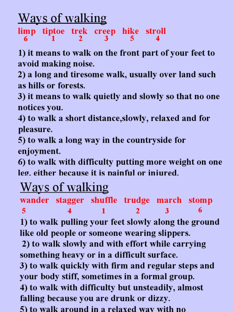 Ways of Walking | PDF