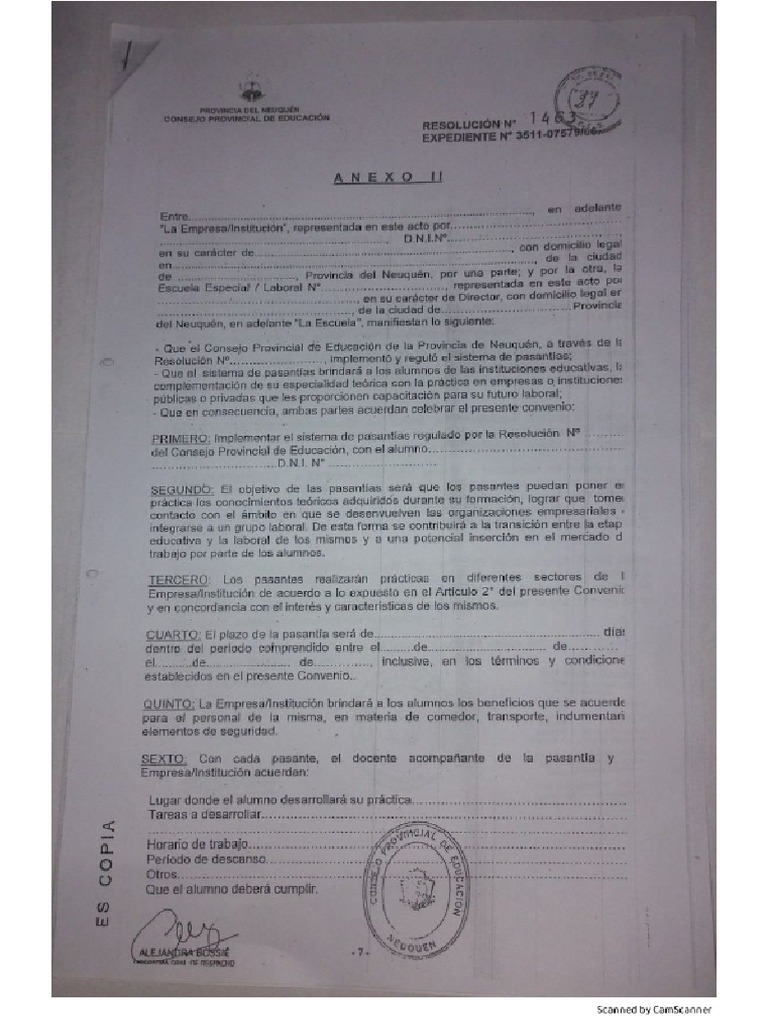 Resolucion 1463 | PDF