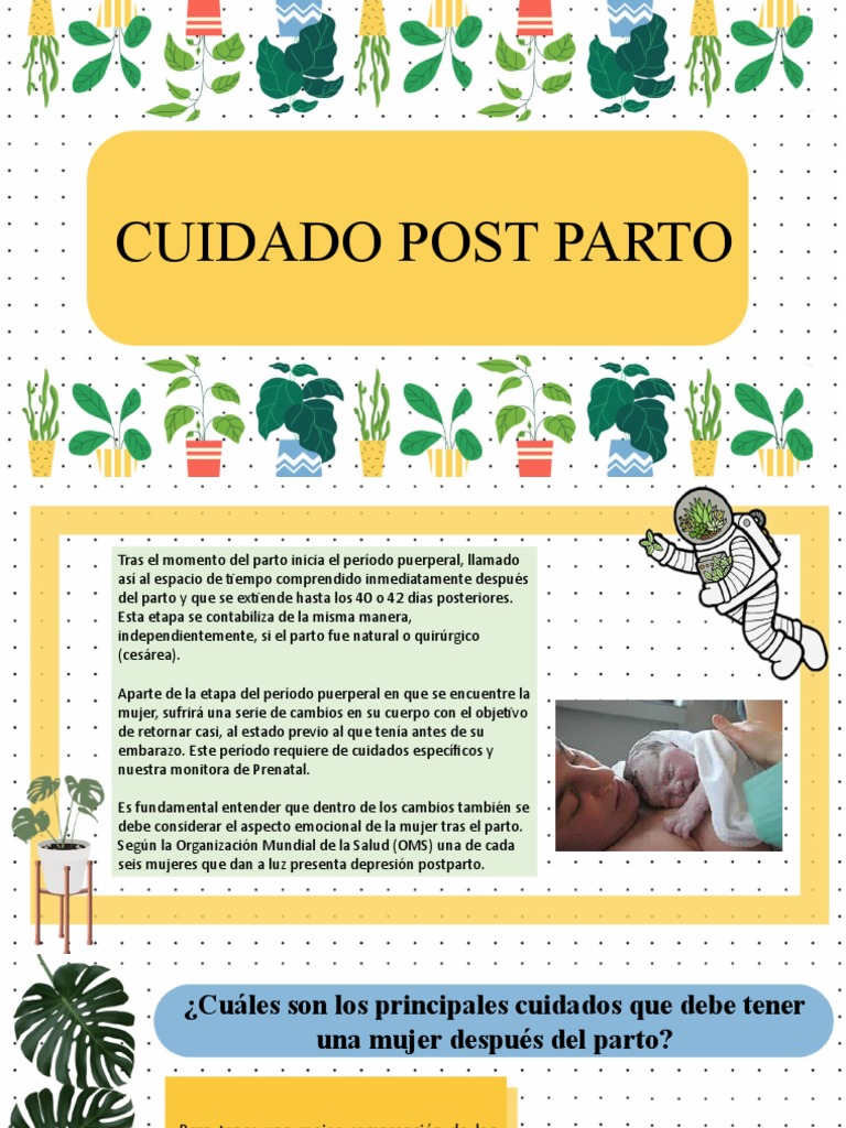 Presentación postparto | PDF | Parto | Pecho