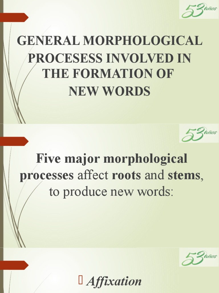 Morphological Processes Involved in The Creation of New Words Presentation | PDF | Word ...